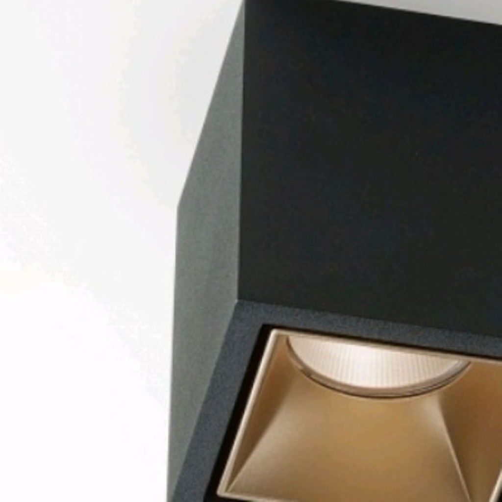 Delta Light Boxy L tweevoudige opbouwspot | HOOGSPOOR Design Light